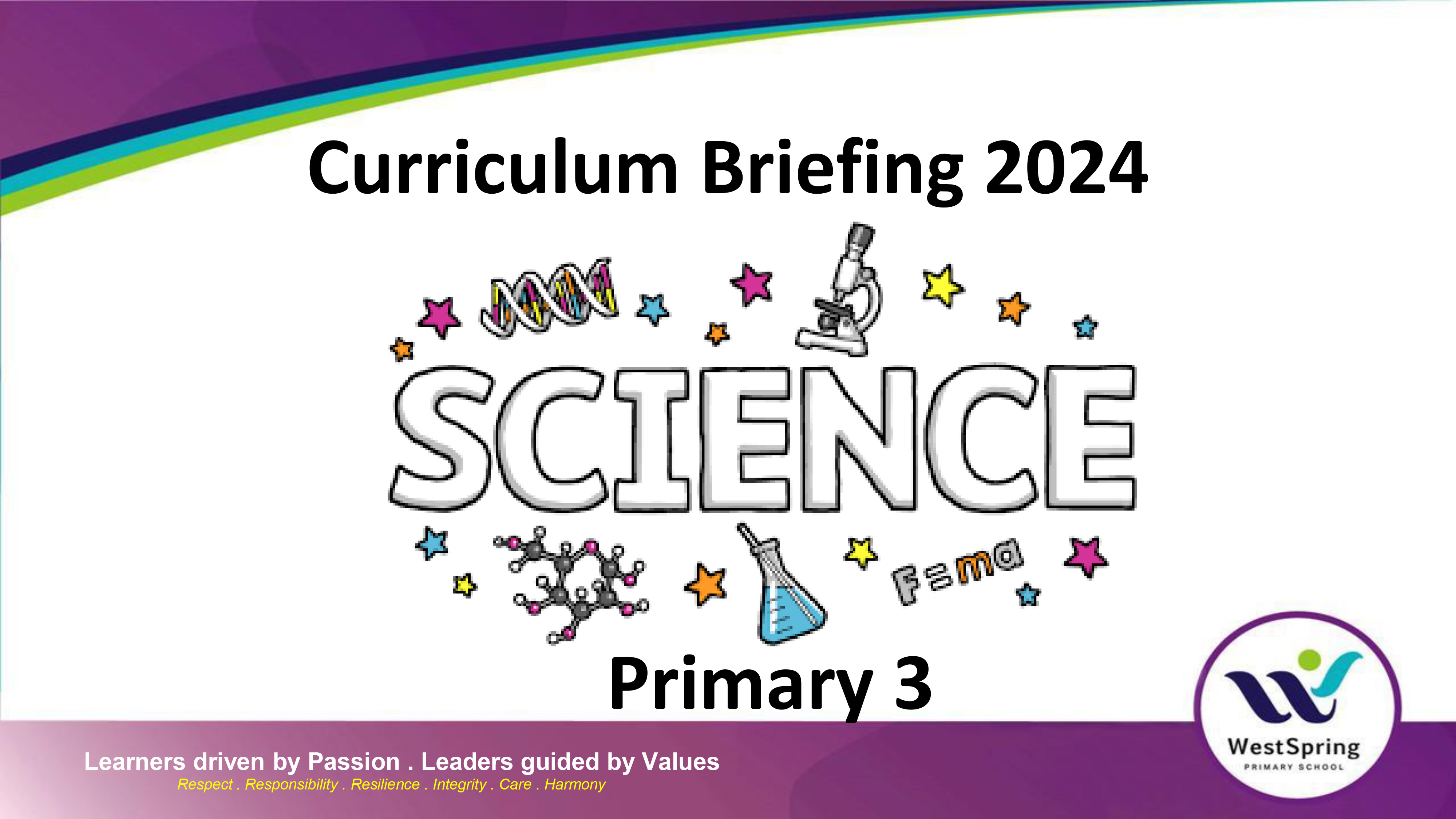 Primary 3